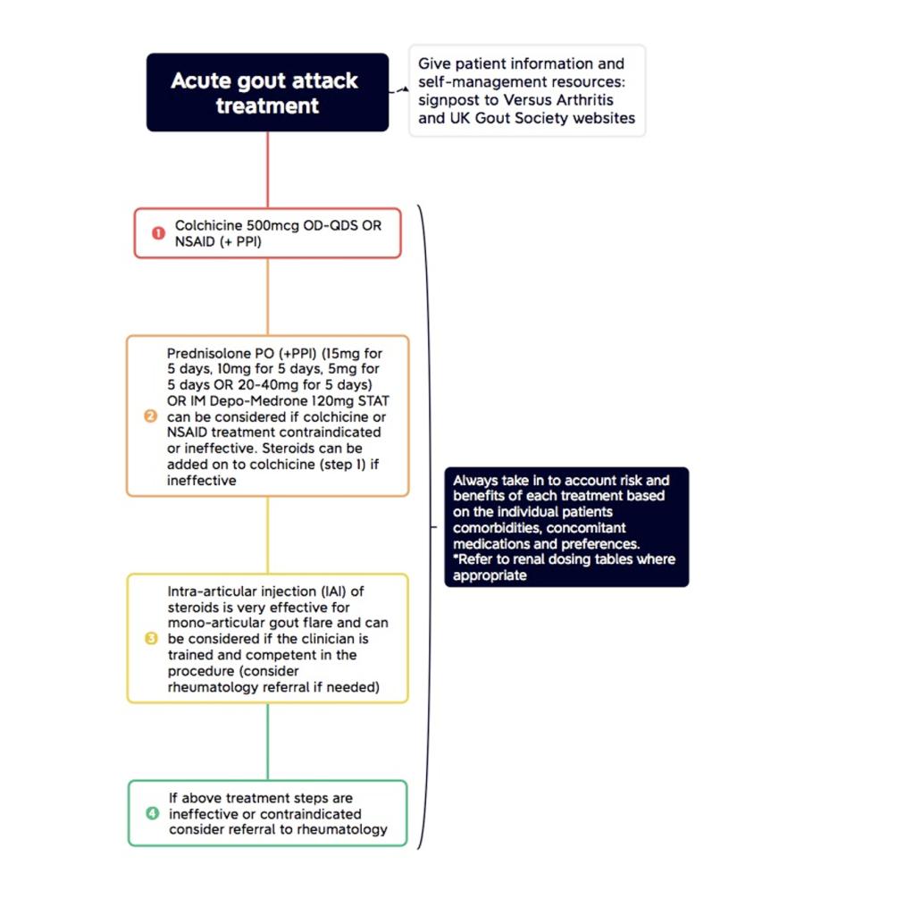 Gout/CPPD pathway - Sheffield Aches and Pains - Professionals